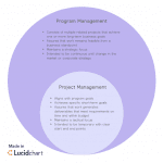 Program Manager vs Project Manager: Who’s who