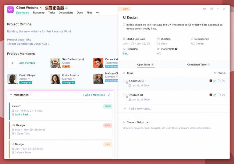 How To Use Project Status Updates (Explained with Example)